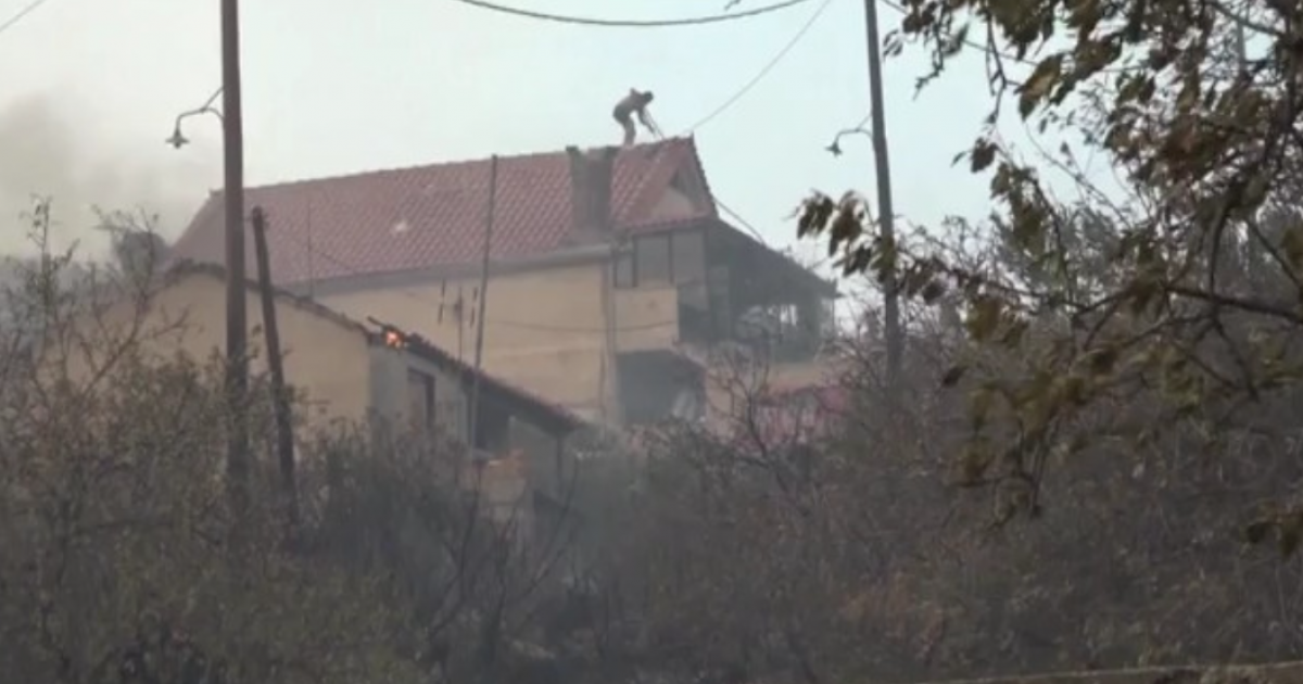Φωτιά στη Φυλή: Ανέβηκε στα κεραμίδια με μάνικα για να σώσει το σπίτι του (Vid) | Alfavita